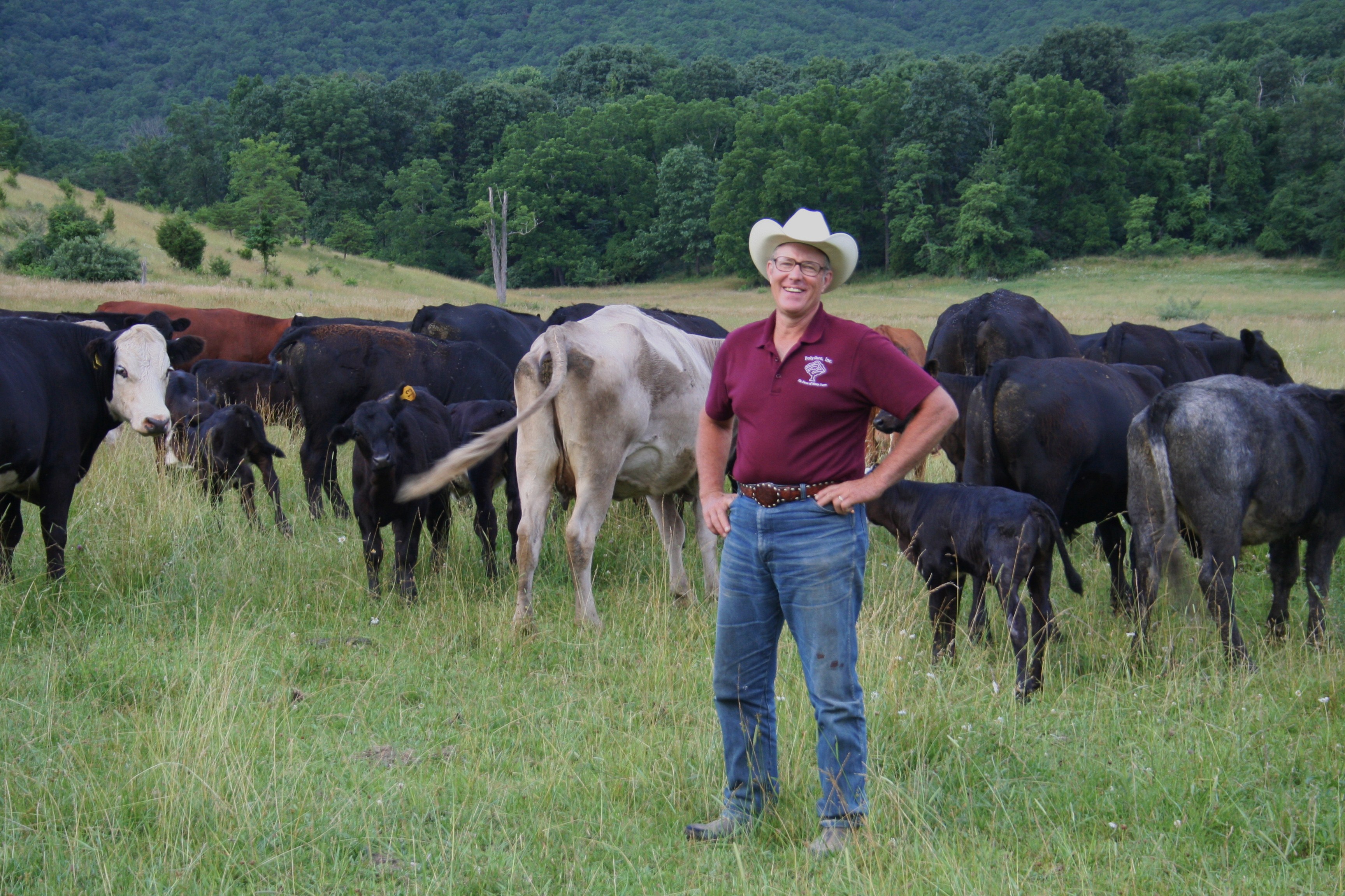 Joel Salatin of Polyface Farms Reveals the Secrets of ‘Beyond Organic’ Farming | The Dairy Site